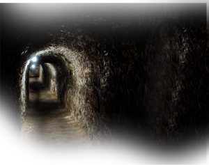 Home | the-crypt.co.uk